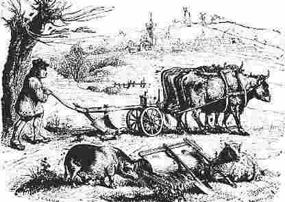 HMC Alexandra y Laura: Tema 1: EL ANTIGUO RÉGIMEN.